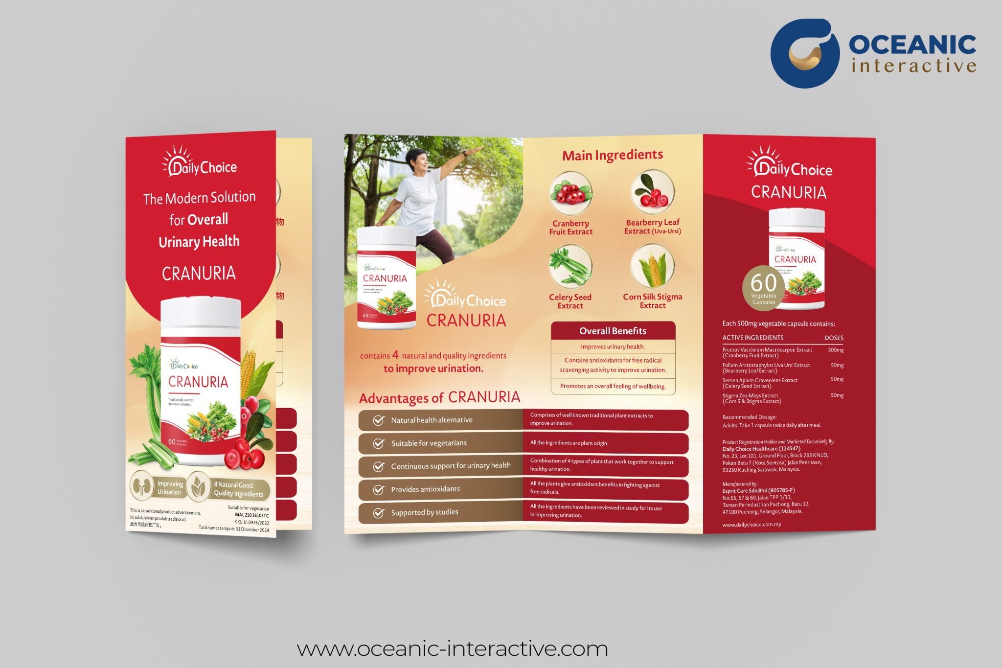 Daily Choice Product Leaflet - Oceanic Interactive